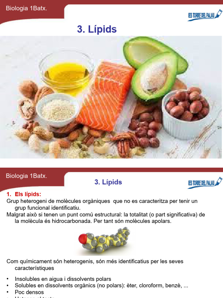 Unitat 3: LIPIDS | PDF