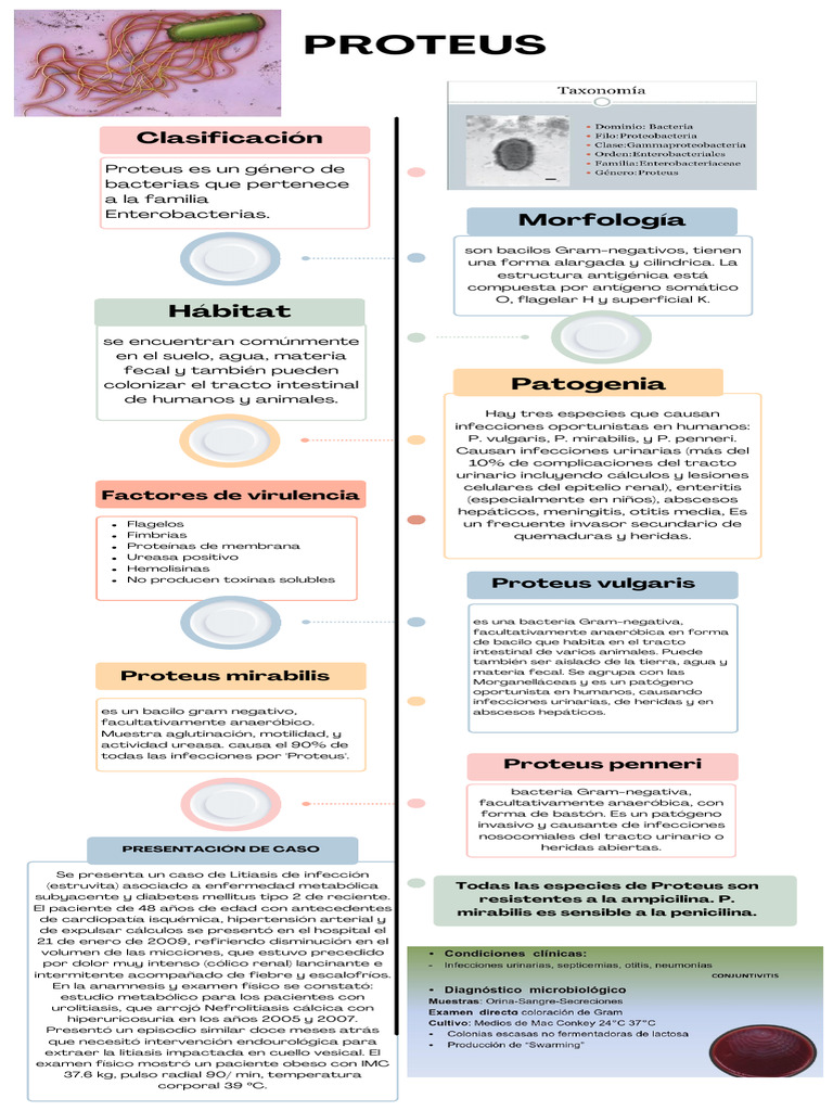 Proteus | PDF | Especialidades Medicas | Medicina CLINICA