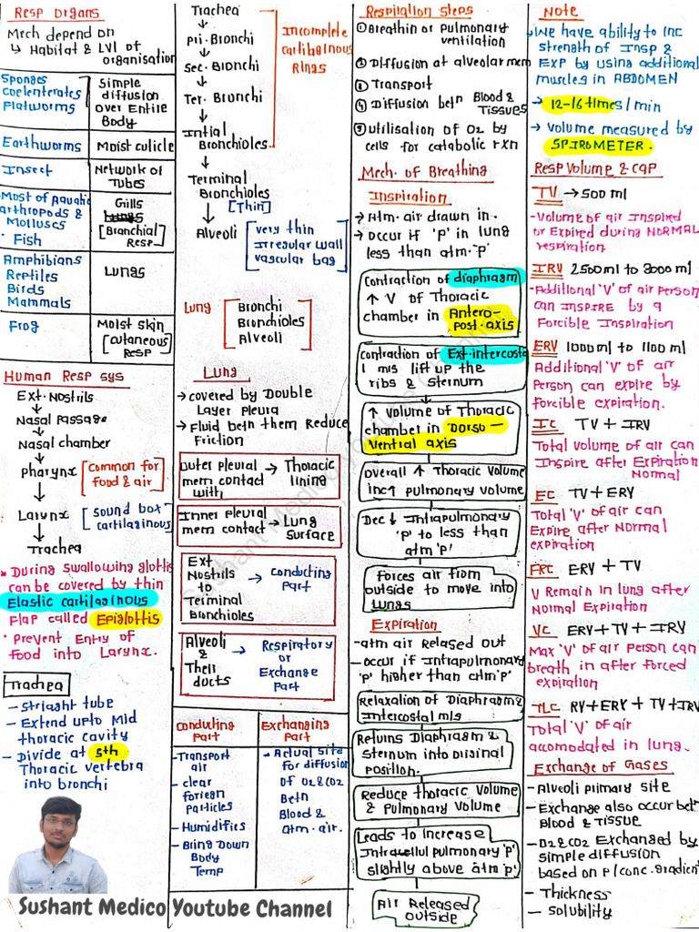Breathing and Exchange of Gases - Sushant Medico | PDF