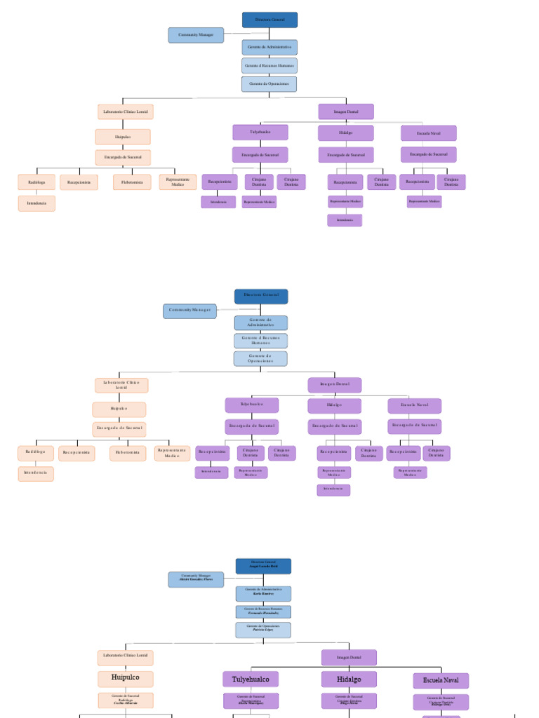 Organigrama Pdf Cuidado De La Salud Medicina