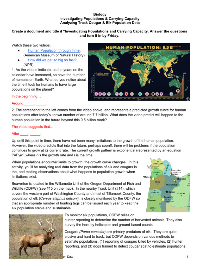 Investigating Carrying Capacity | PDF