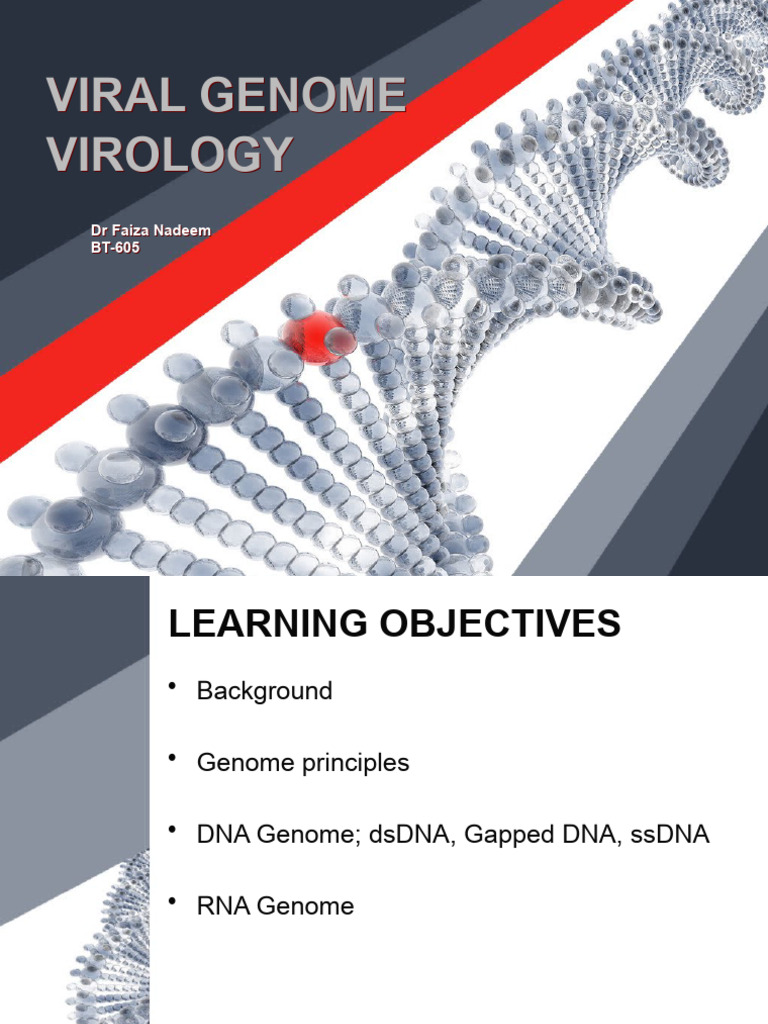 4 Viral Genome | PDF | Virus | Rna