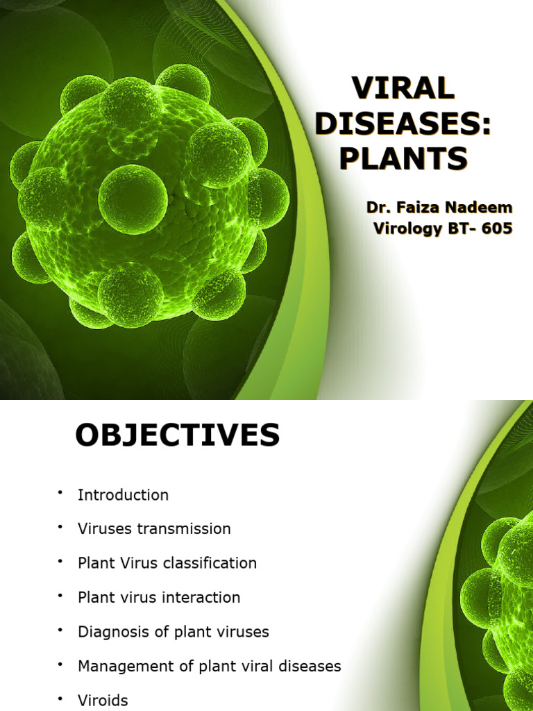 Plant Viral Diseases Overview | PDF | Virus | Plant Virus
