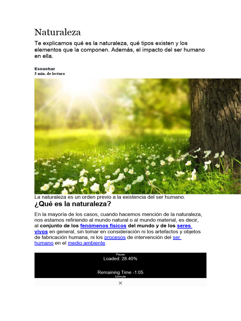 Concepto y Tipos de Naturaleza | PDF | Naturaleza | Entorno natural