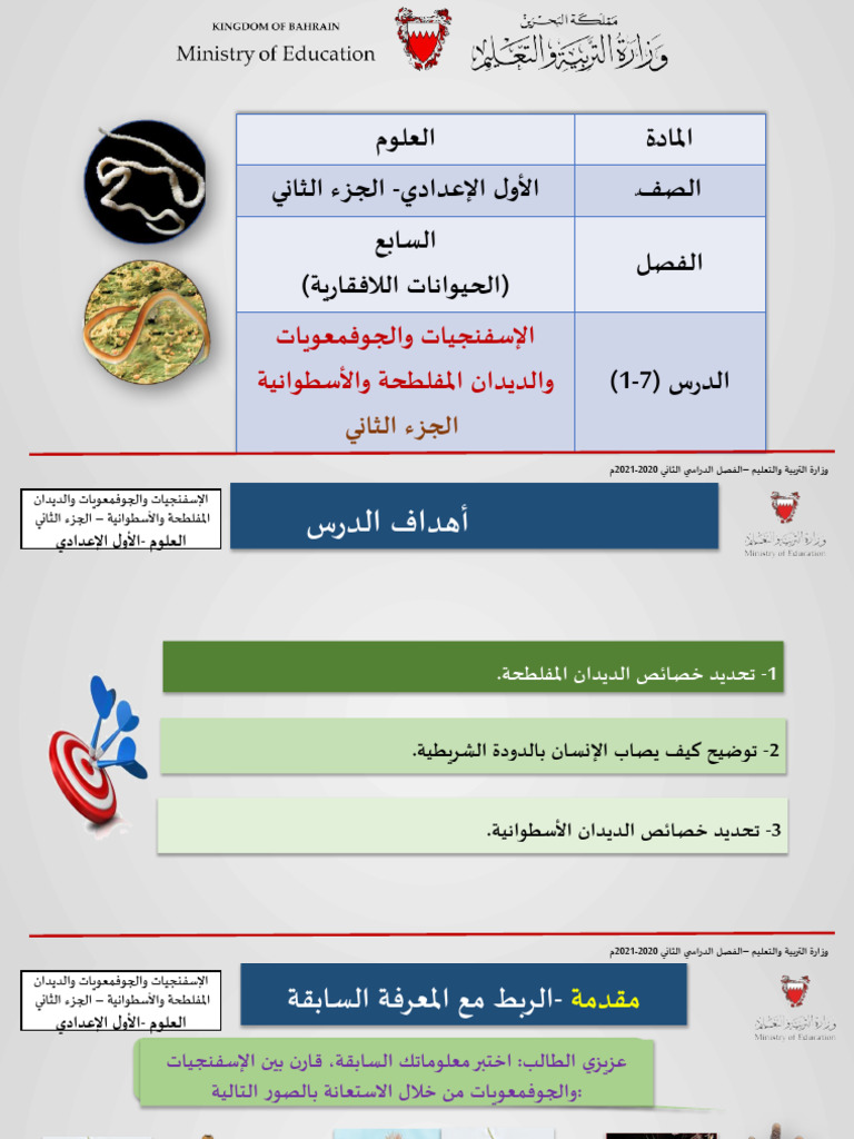 Sponges Intestines Flatworms and Roundworms 2 | PDF