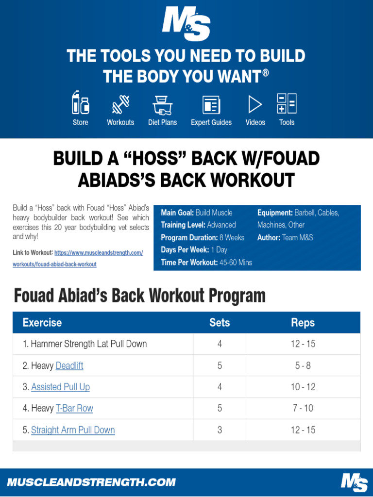 Fouad Abi Ad | PDF