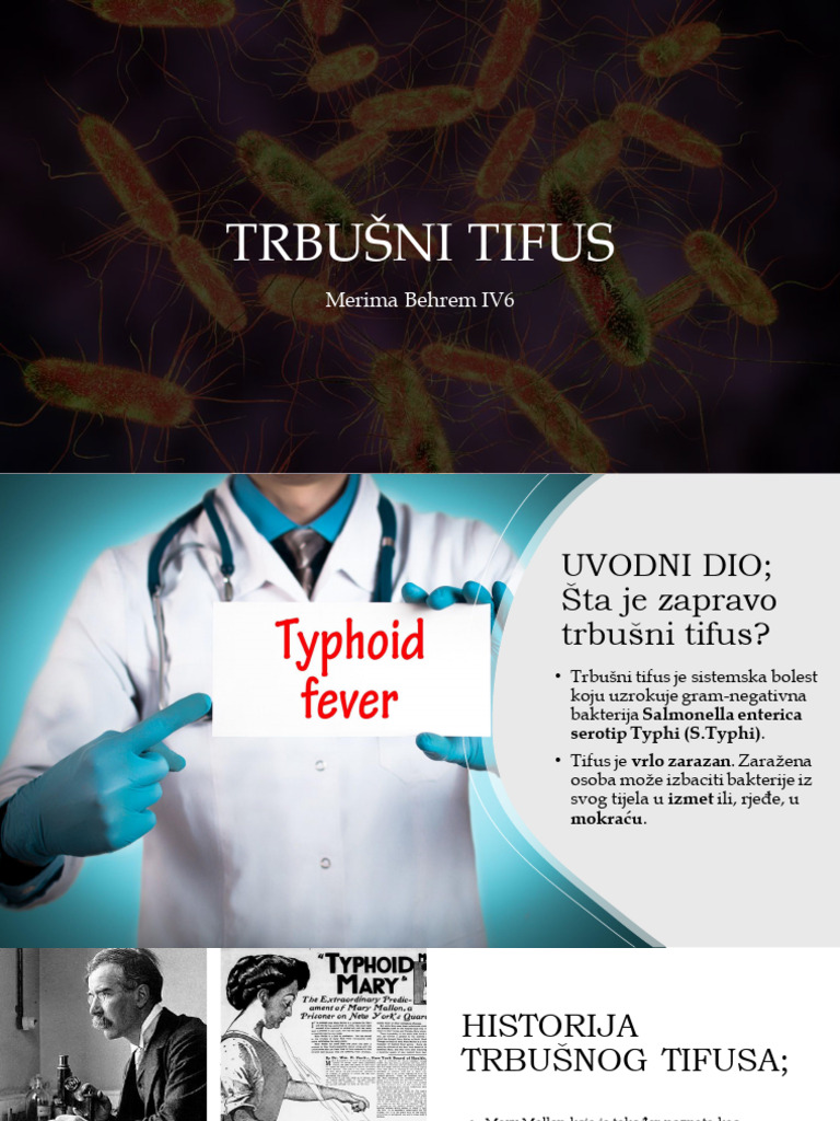 Trbušni Tifus Merima2408 | PDF