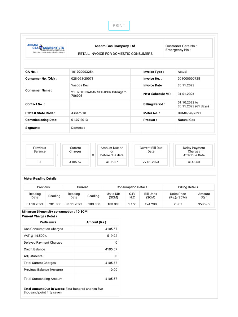 Gas Bill PDF Invoice Economies