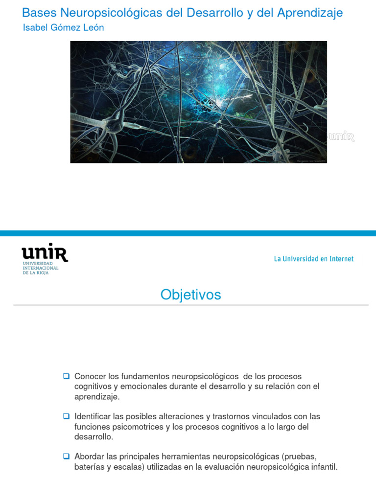 Tema_1.1 | PDF | Neurona | Cerebro