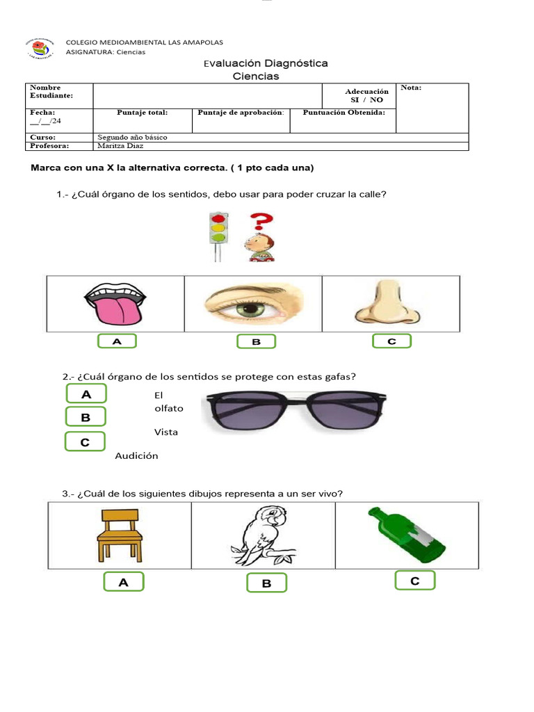 CIENCIAS EV 2 BASICO | PDF