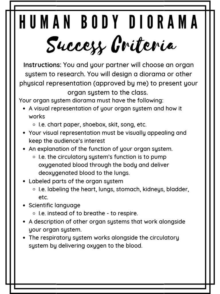 Human Body Diorama Success Criteria and Rubric | PDF