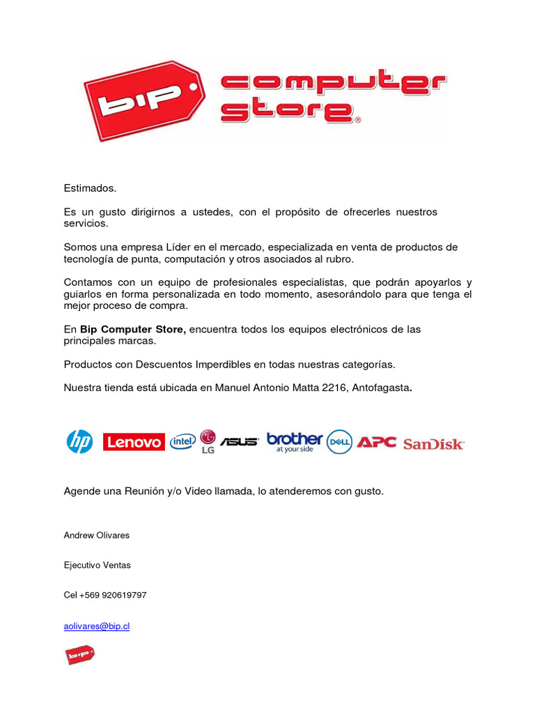 Presentacion BIP | PDF | Business | Comercio electrónico