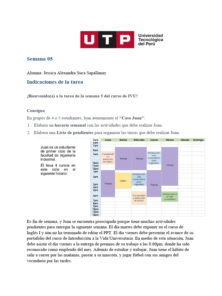 IVU Actividad5 JessicaSuca | PDF