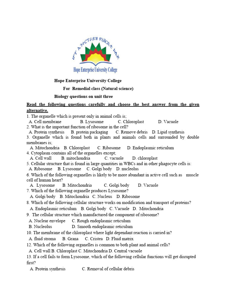 Biol worksheet U-3 | Download Free PDF | Cellular Respiration ...