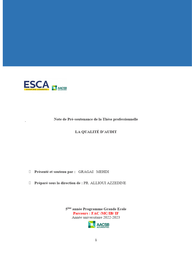 Soutenance 2022-2023 | PDF | Audit | Audit financier