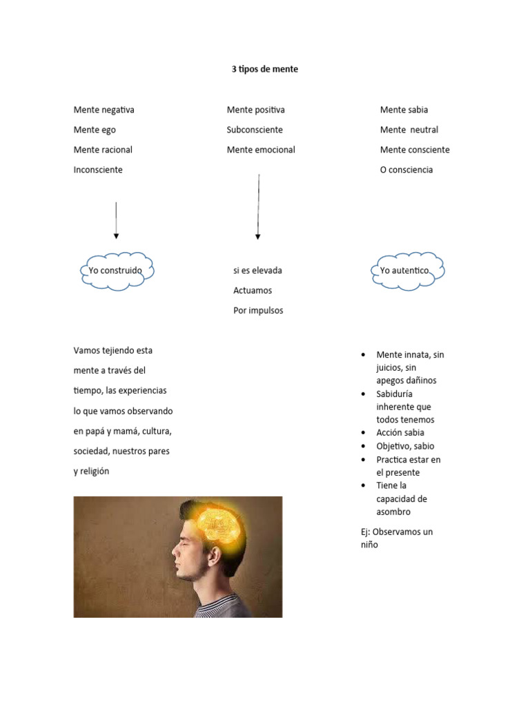 3 Tipos de Mentes | PDF | Mente | Yo