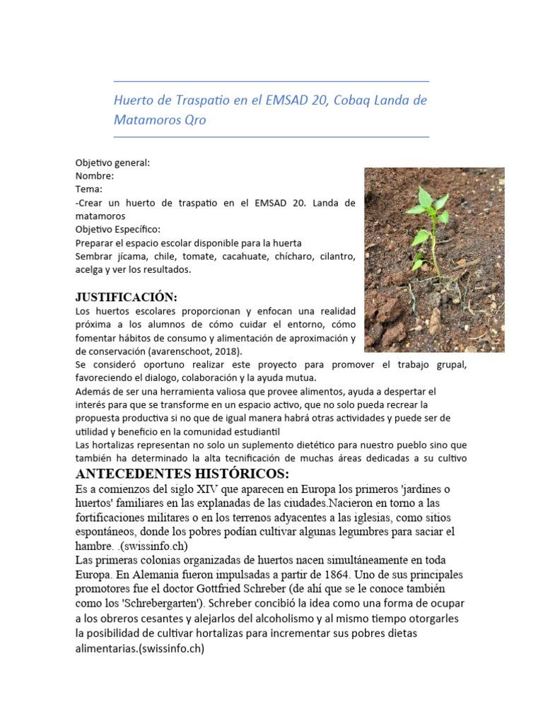 Huerto de Traspatio en El EMSAD 20 | PDF | Huerta