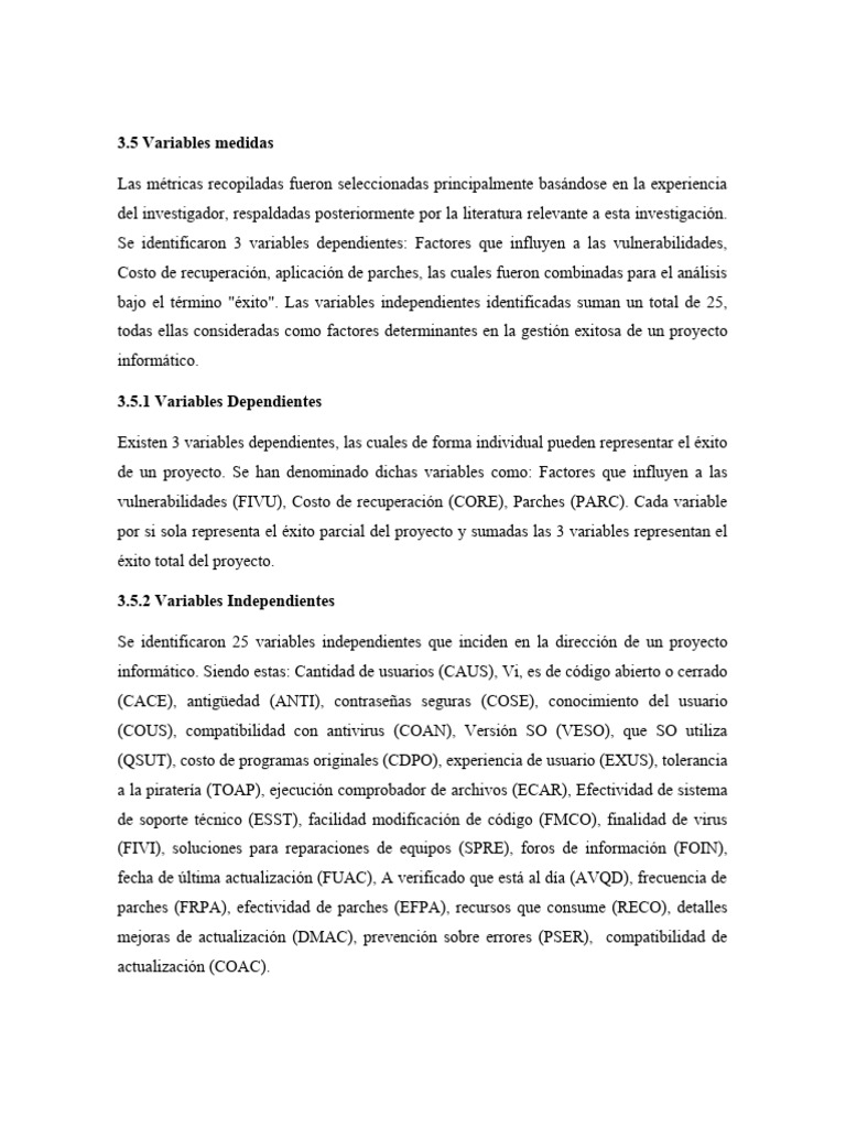 Variables en el éxito de proyectos informáticos | PDF | Virus de ...