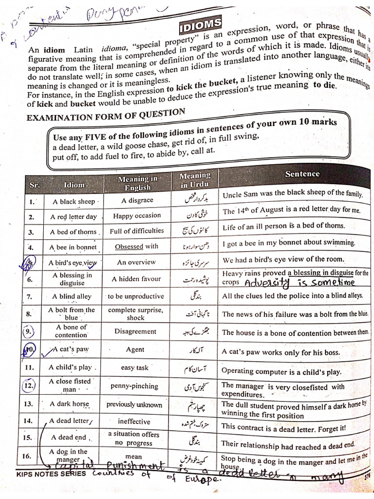 Complete Idioms Second Year | PDF