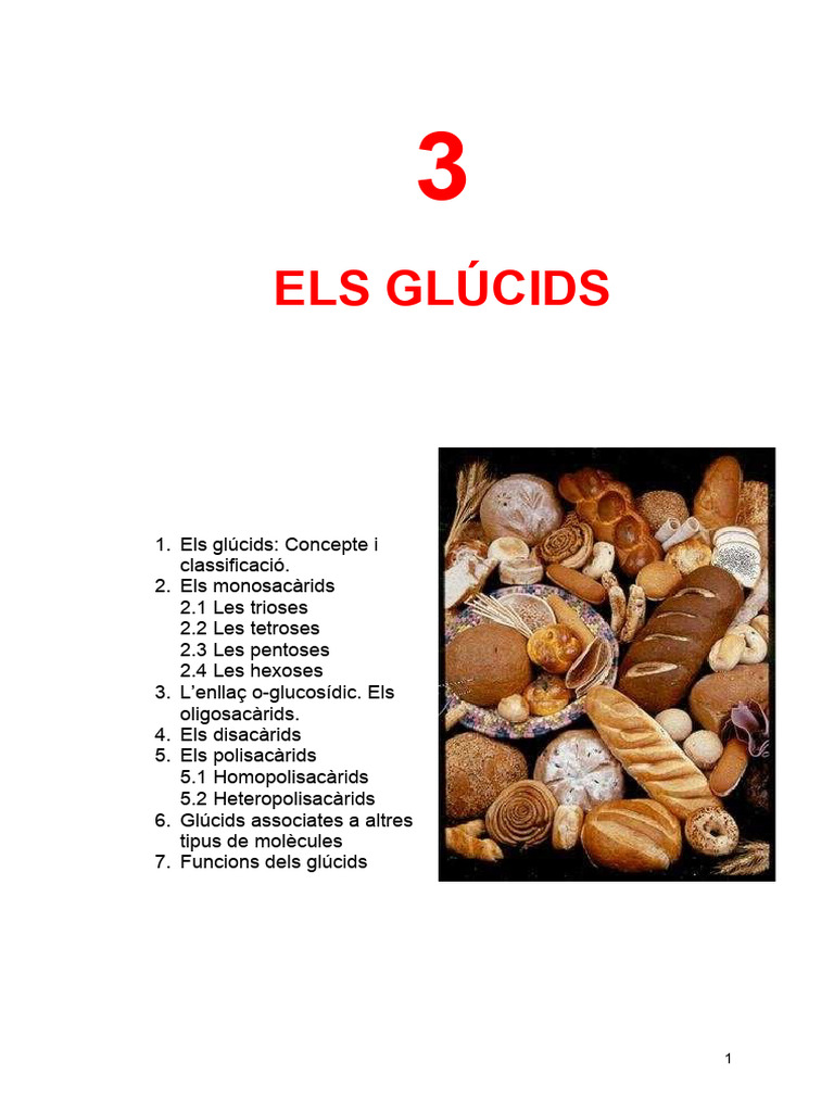 T 2 Glucids 1213 | PDF