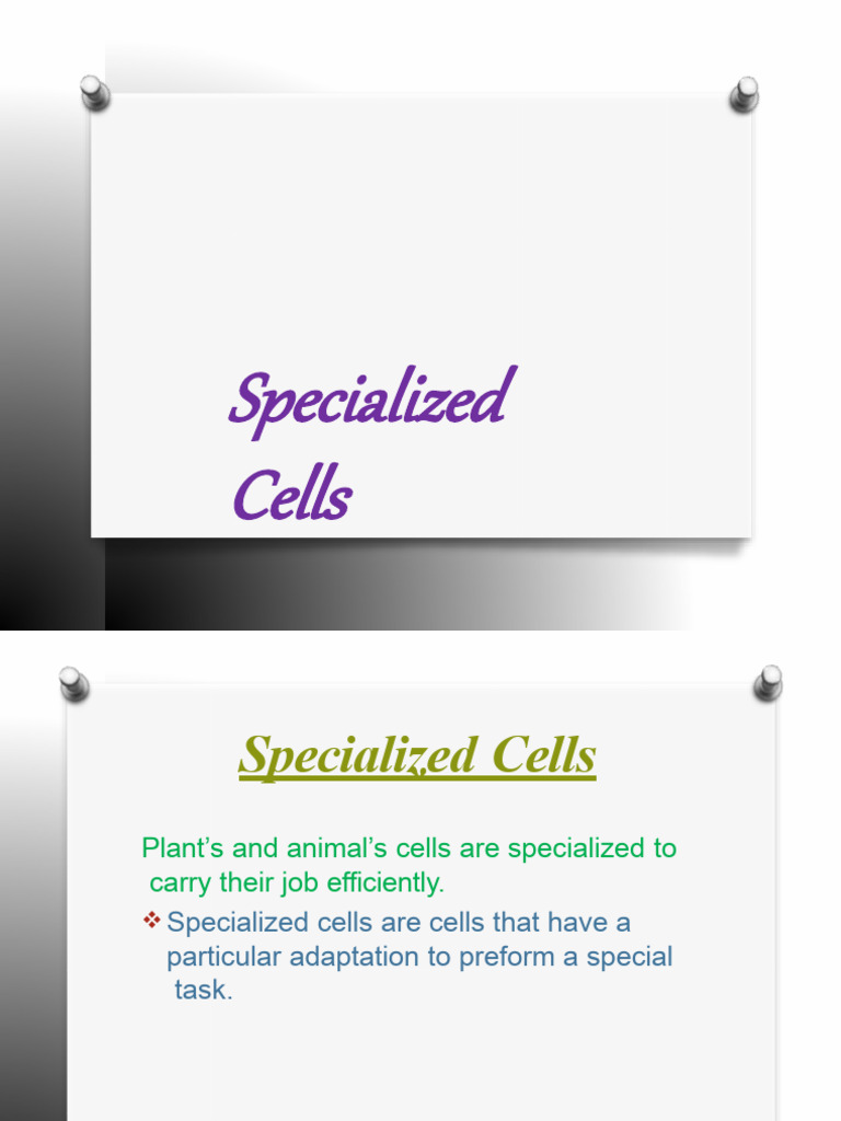 GR 8 Specialized Cells | PDF | Leaf | Reproduction