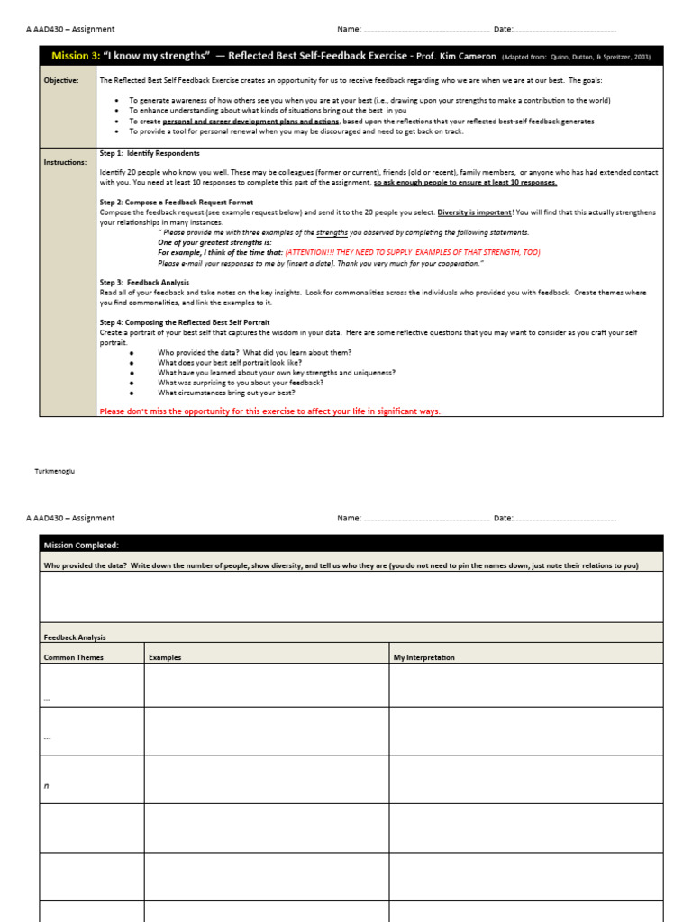 !AD430 - Mission-Best Self Ver.2 | PDF | Behavior Modification | Social Psychology