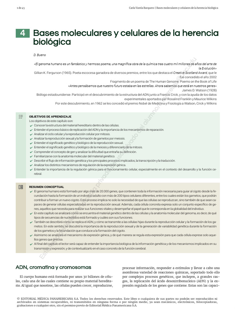 Herencia Biológica: Bases Moleculares | PDF | Cromosoma | Mitosis