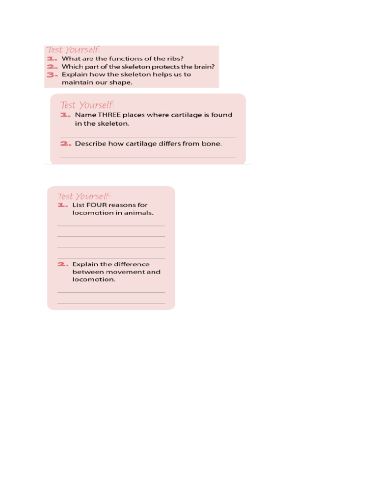 Activity 6 Sem 2 Skeleton | PDF