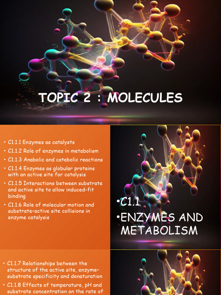 Enzymes and Metabolism Explained | PDF | Enzyme | Active Site