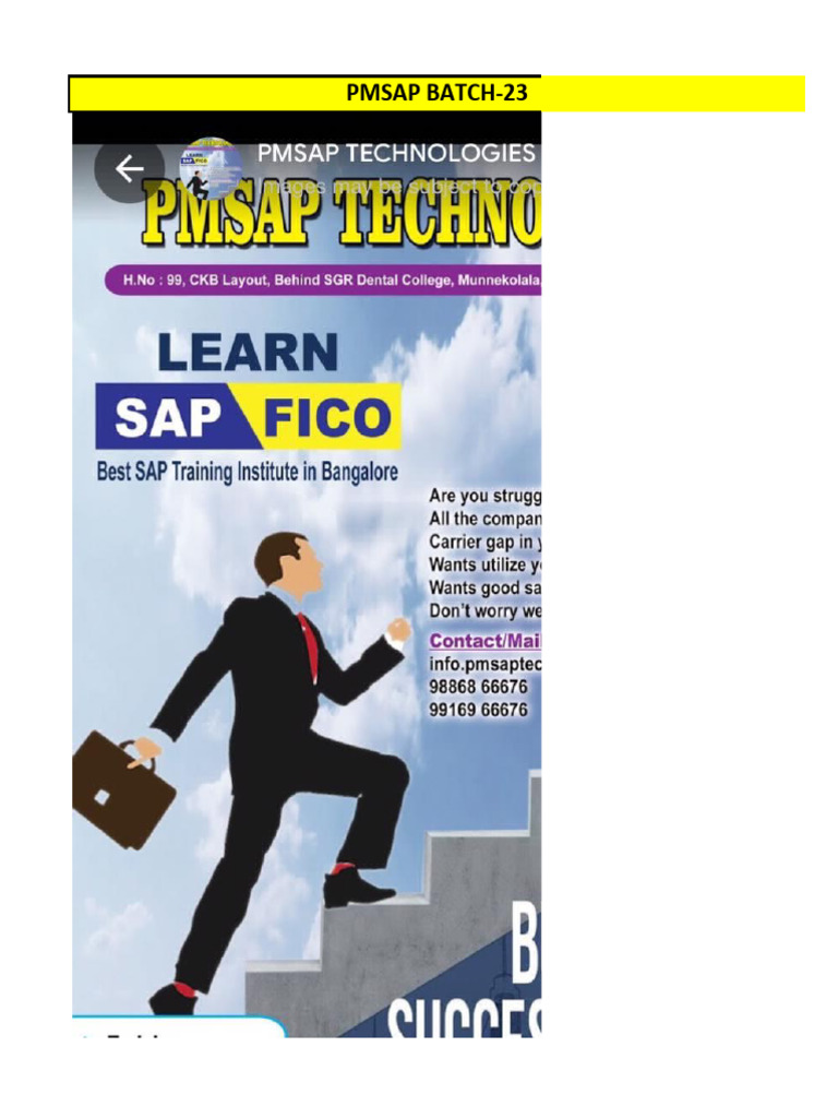 Pmsap S4fico-23 | PDF | Server (Computing) | Databases