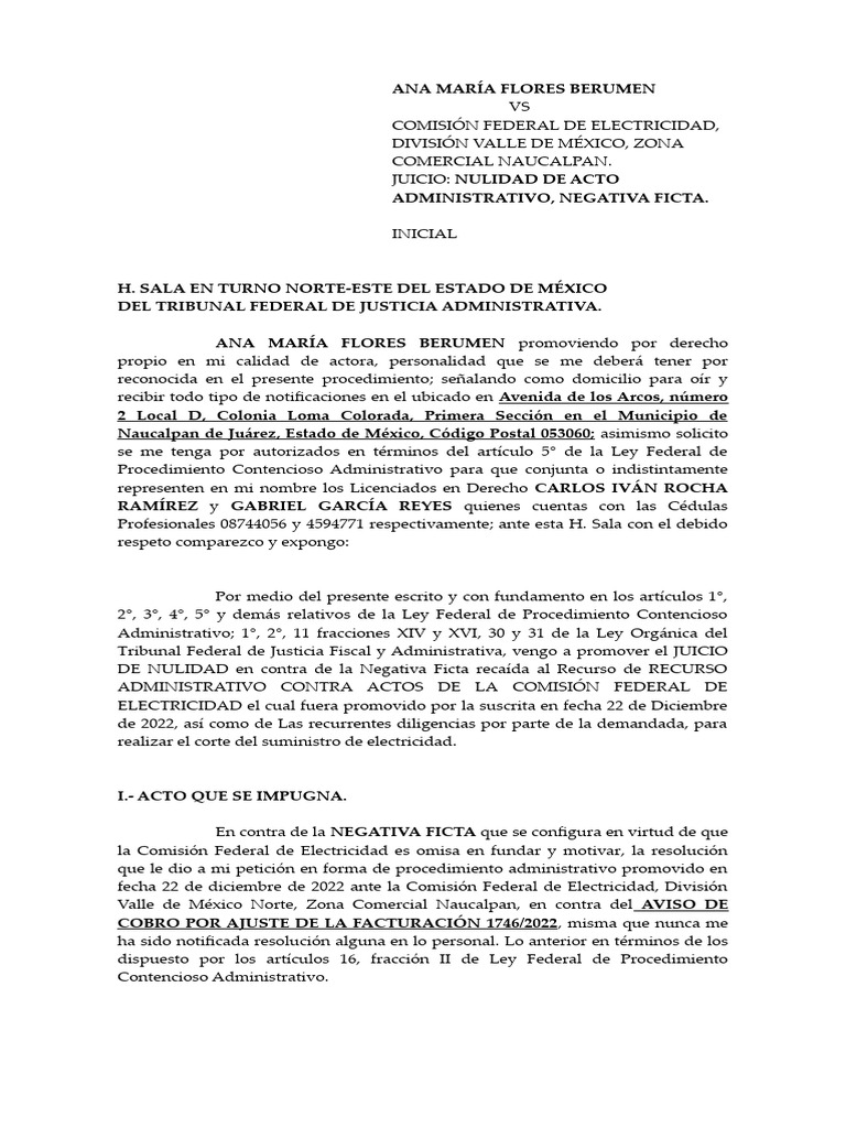 ANA MARÍA Demanda de Nulidad TERMINADA | PDF | México | Estado (política)