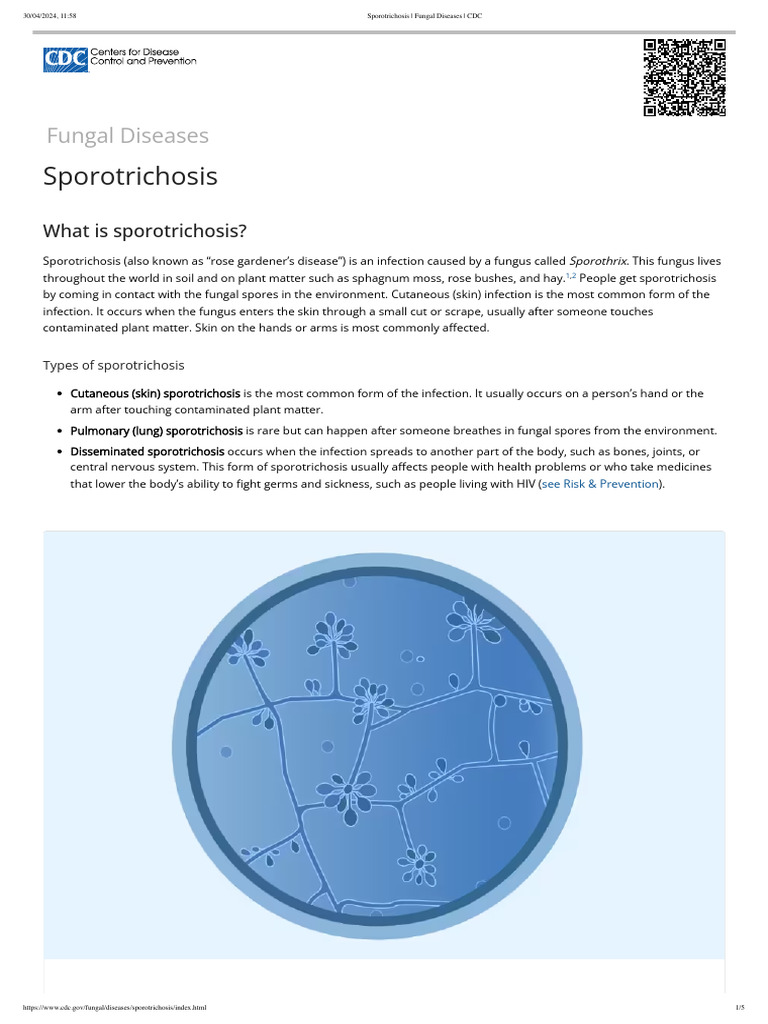Information CDC | PDF | Infection | Clinical Medicine