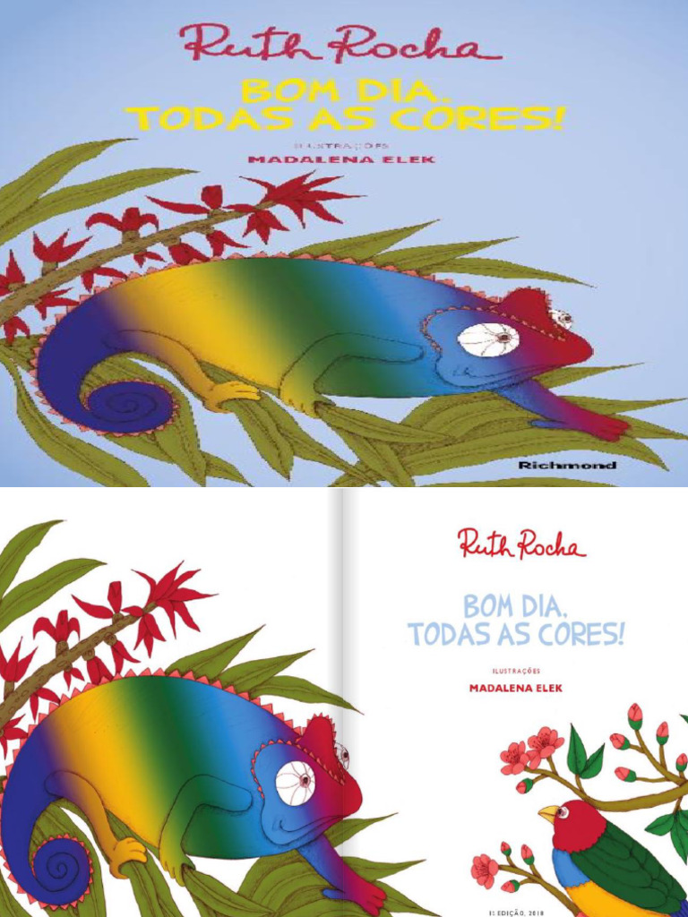 Bom Dia Todas as Cores | PDF