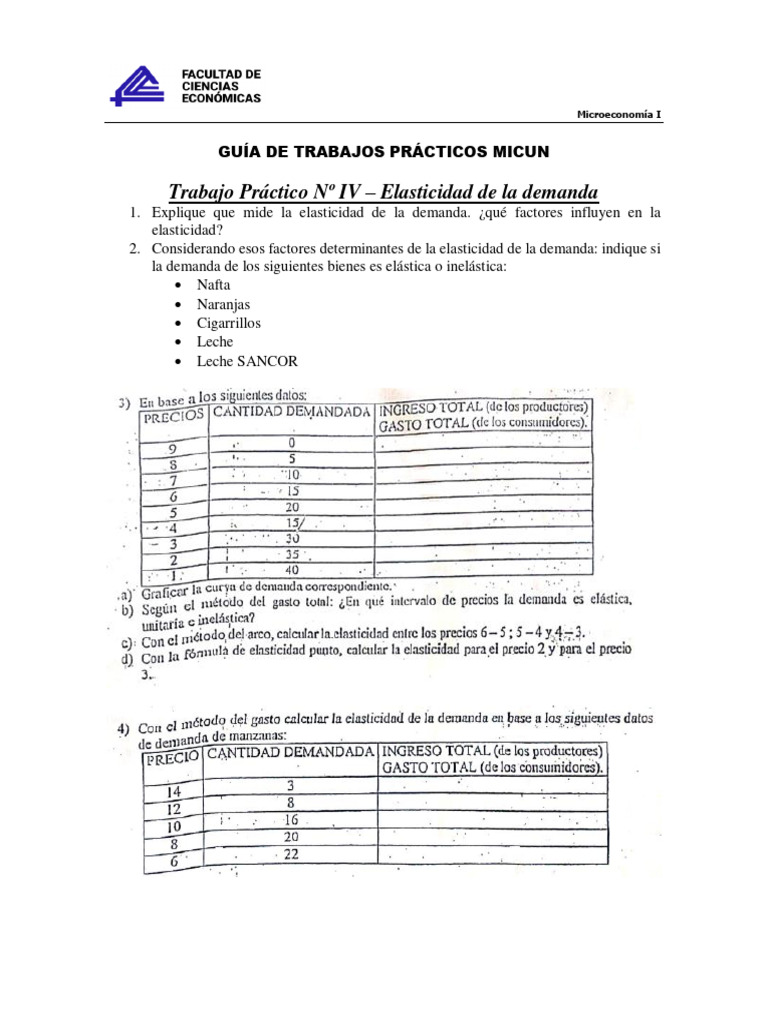Guia Ejercicios MICUN TP 4 | PDF | Elasticidad (economía) | Demanda