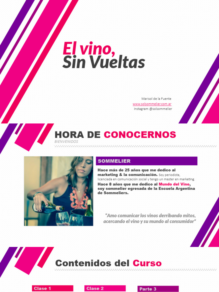 El Vino, Sin Vueltas | PDF | Vino | Uva