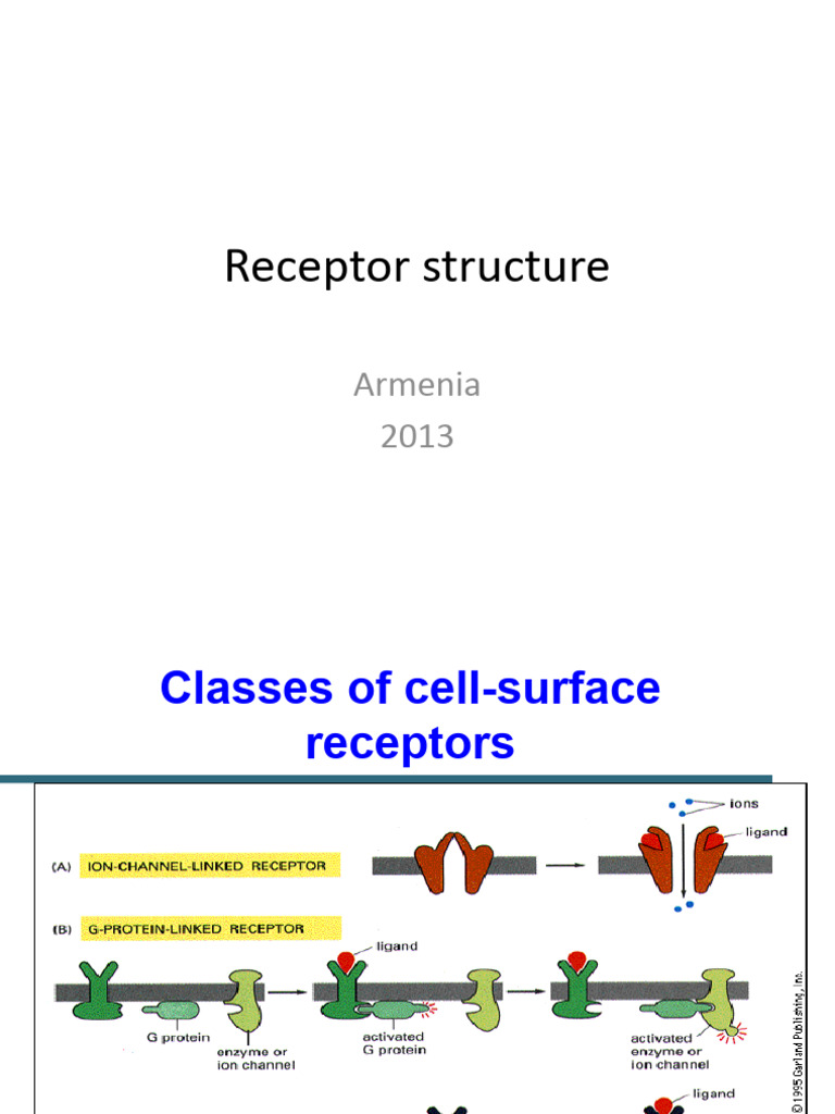 Receptor Structure | PDF | Nutrients | Biomolecules