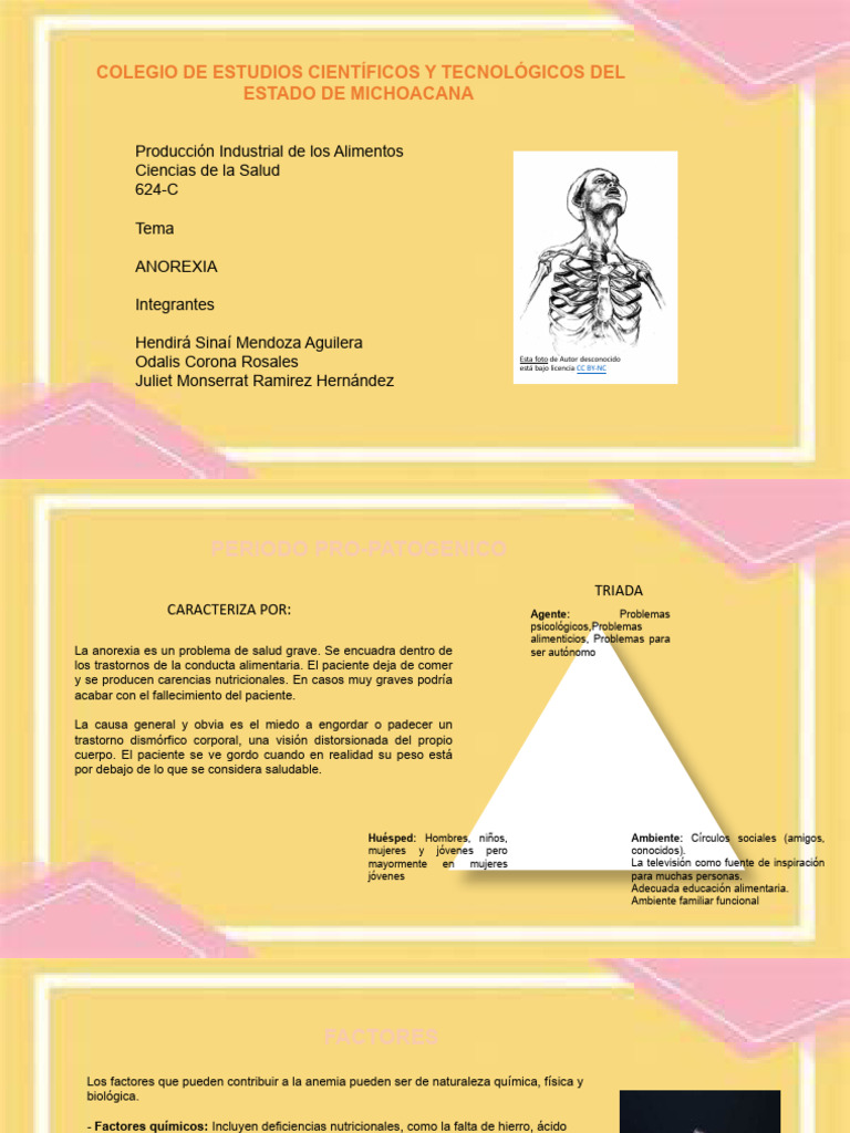 Síntomas de la Anorexia Nerviosa | PDF | Anorexia nerviosa | Desorden ...