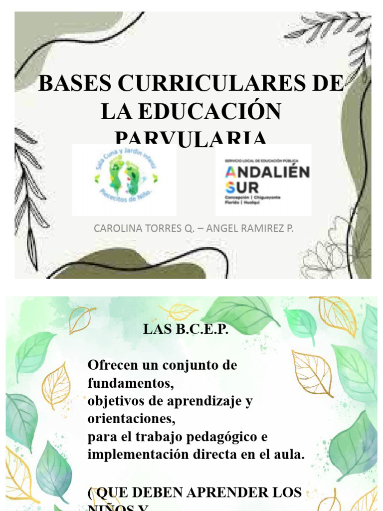 Bases Curriculares de La Educación Parvularia | PDF | Educación de la ...