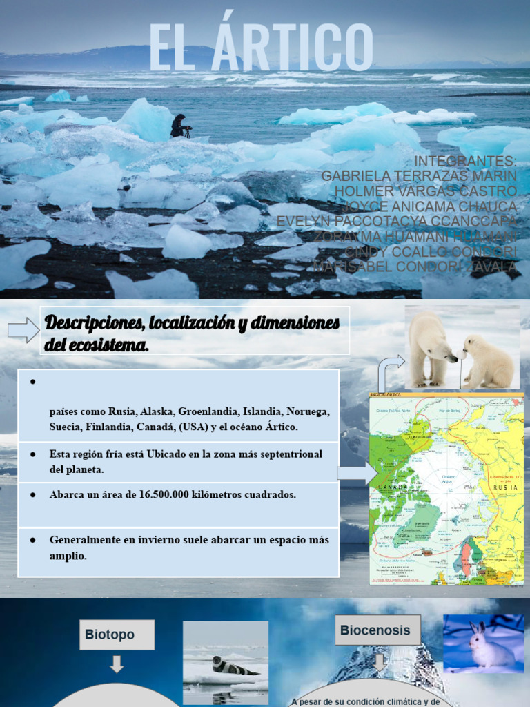 El Artico | PDF | Ártico | Ecología