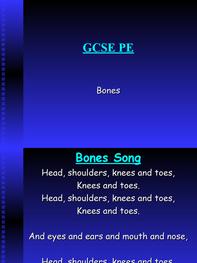 1 New Gcse Pe Bones 196003193 2 Pdf