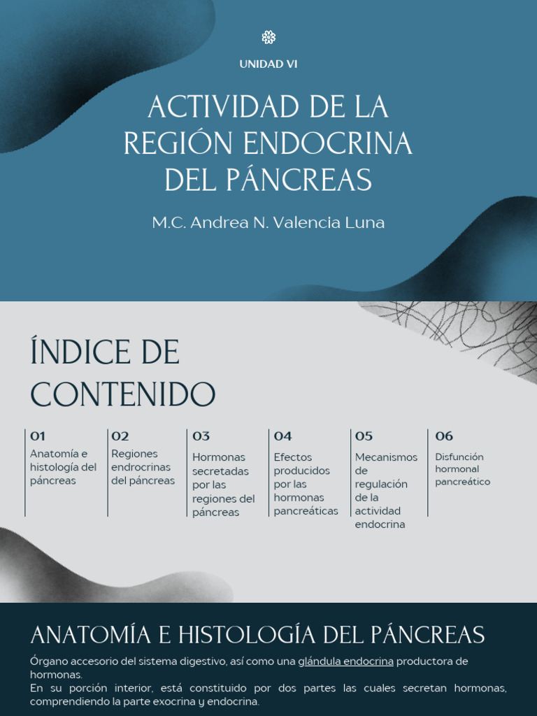PÁNCREAS | PDF | Páncreas | Insulina