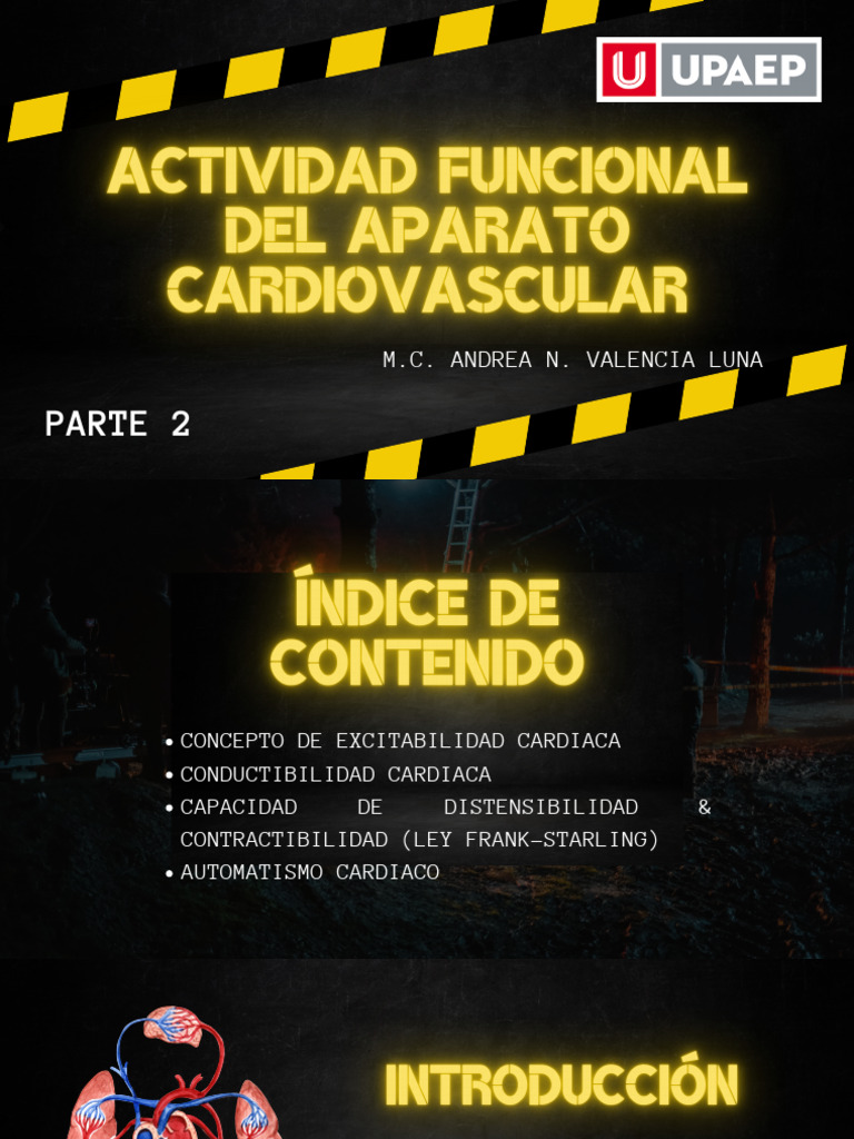 Conductibilidad y Excitabilidad Cardíaca | PDF | Corazón | Ventrículo ...