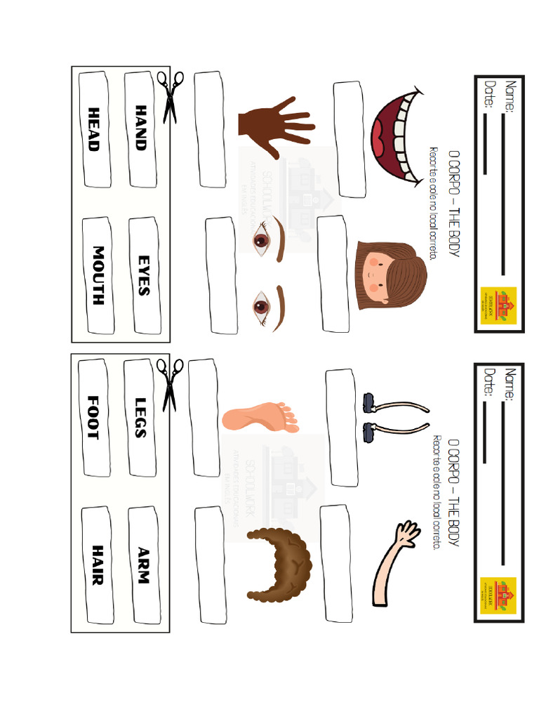 Body Partes 1 E 2 2º Ano Pdf