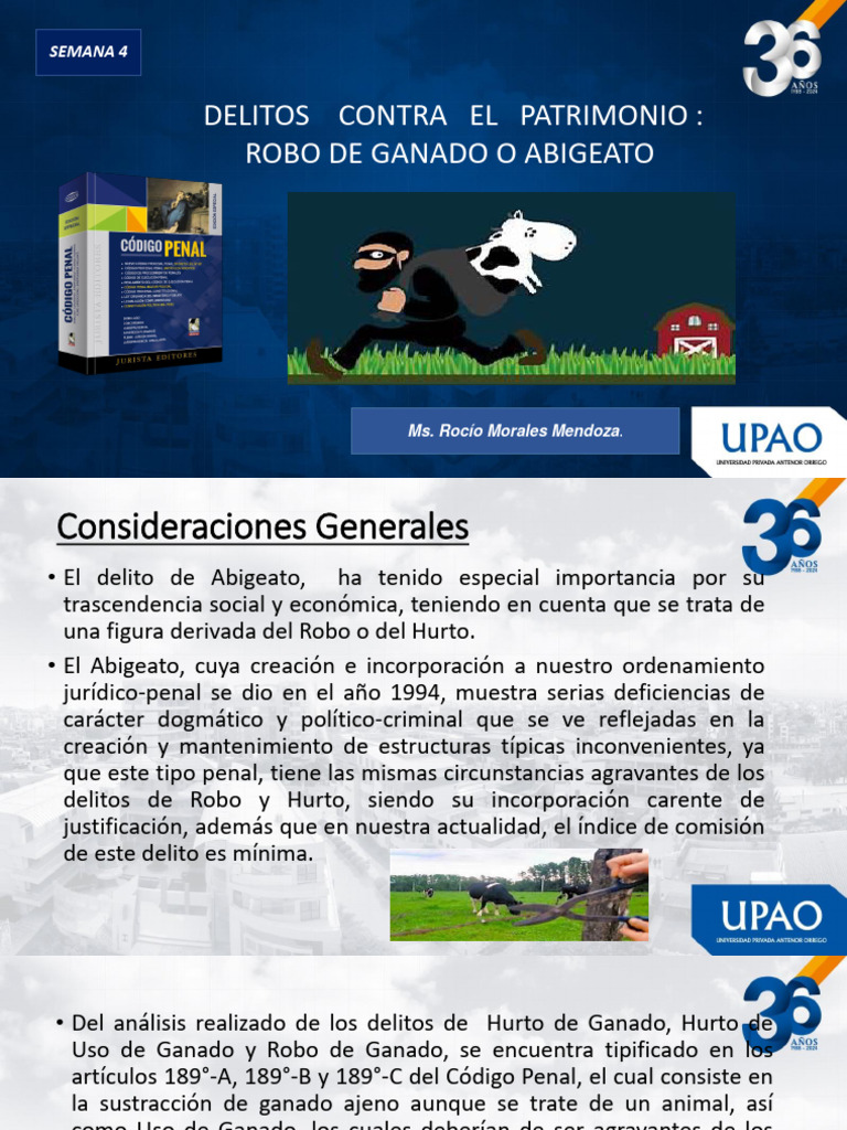 Sesión 4 Robo De Ganado Abigeato Pdf Robo Robo