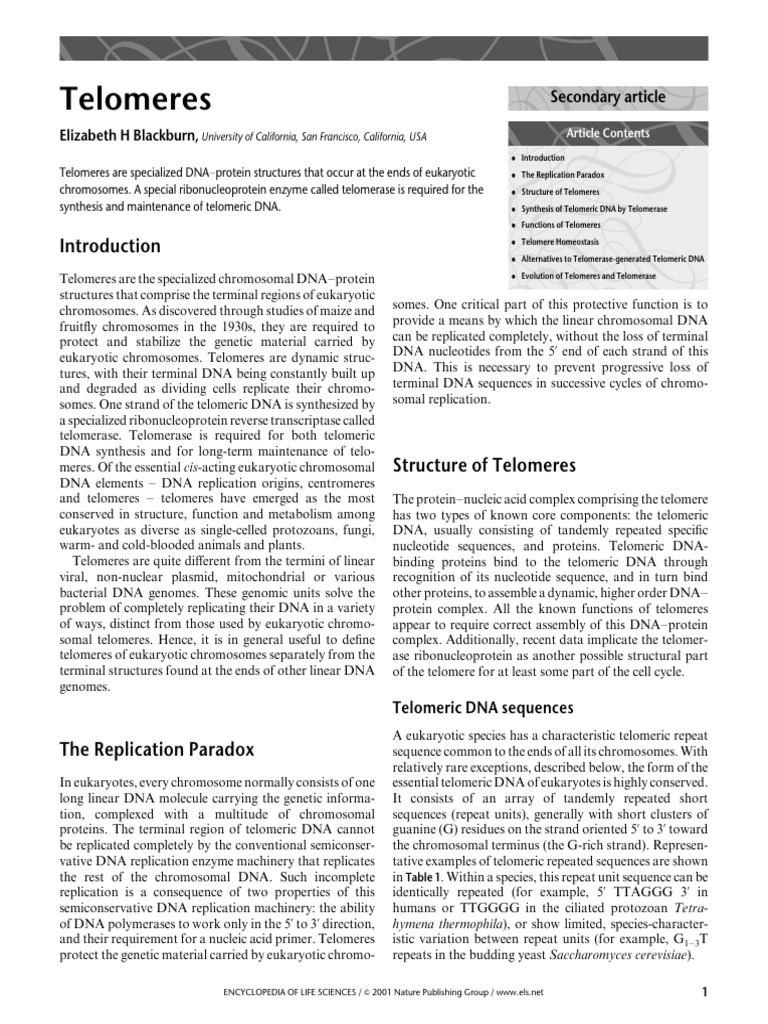 2001 Blackburn. Telomeres | PDF | Telomere | Dna Replication