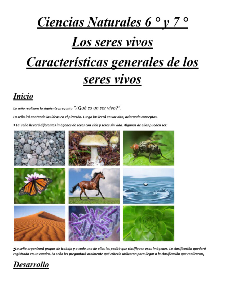 Ciencias Naturales 6 Seres Vivos | PDF | Microscopio