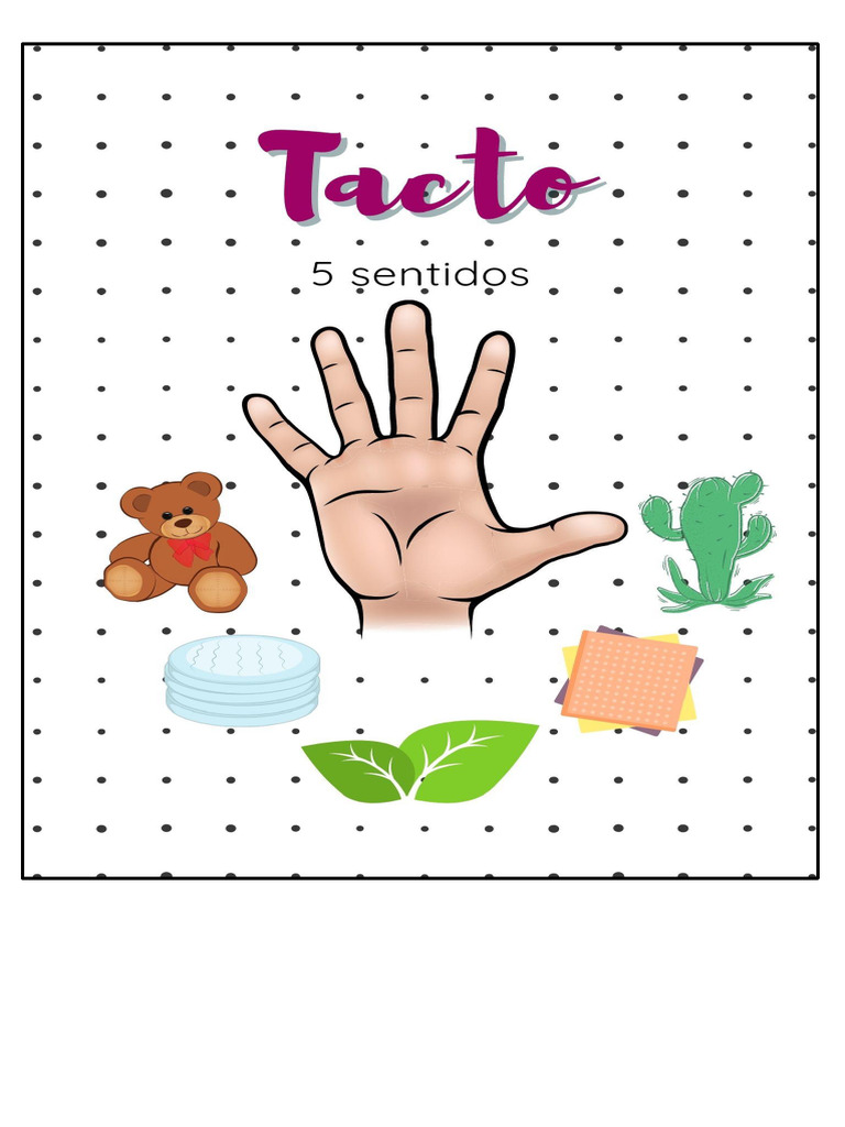 Flashcards 5 Sentidos | PDF