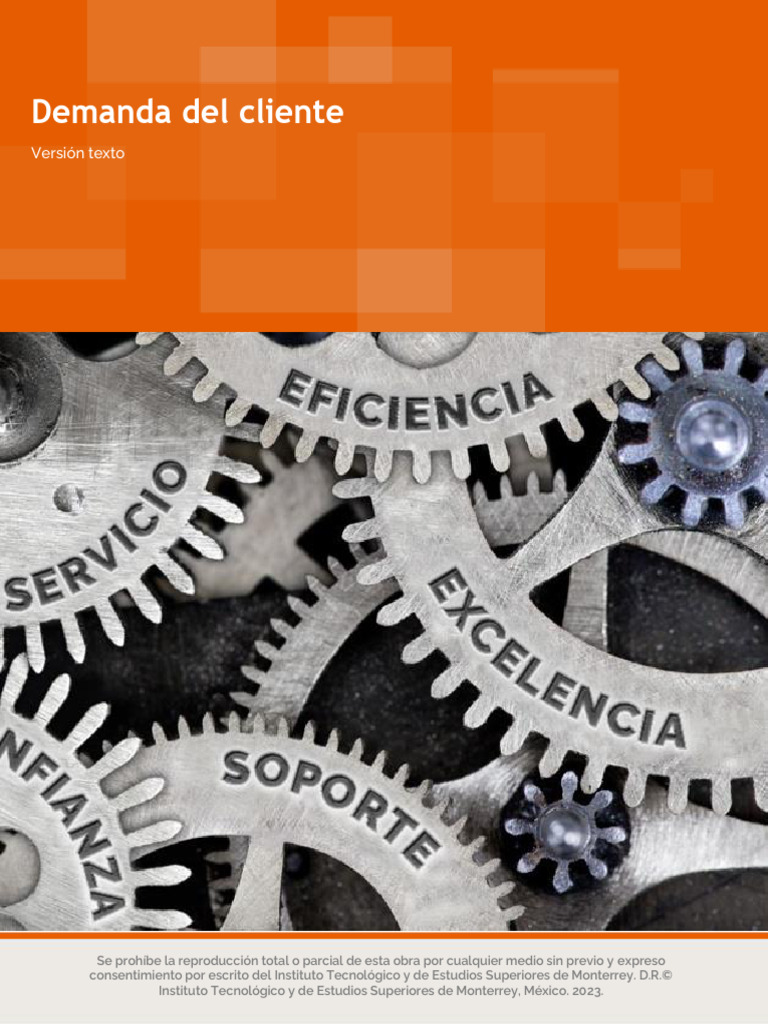 Demanda Del Cliente | PDF | Cliente | Business