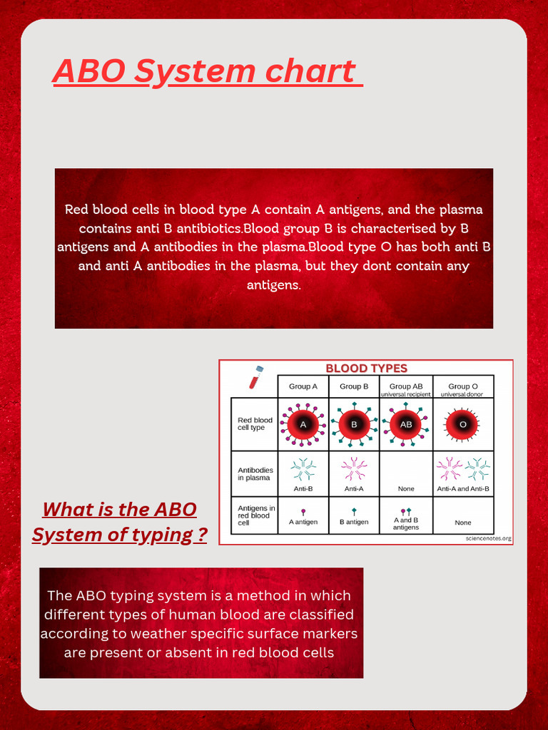 ABO System Chart | PDF