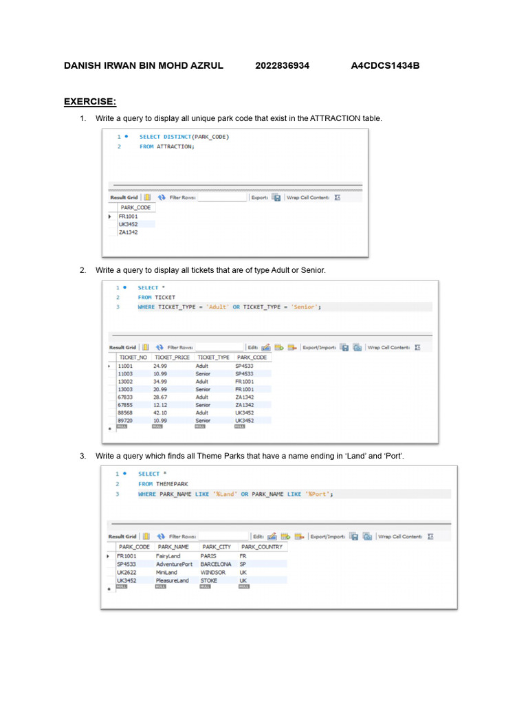 SQL Queries for Theme Park Database | PDF